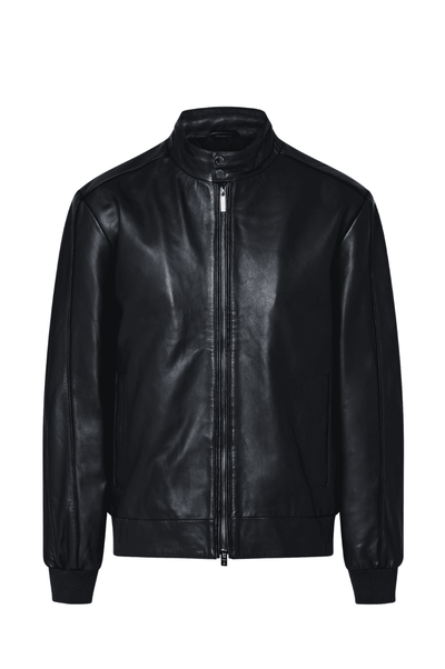 Collections | TORRAS